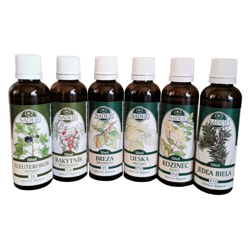 Kúra IMUNOFIX-A - posilnenie imunitného a cievneho systému | E-shop ...